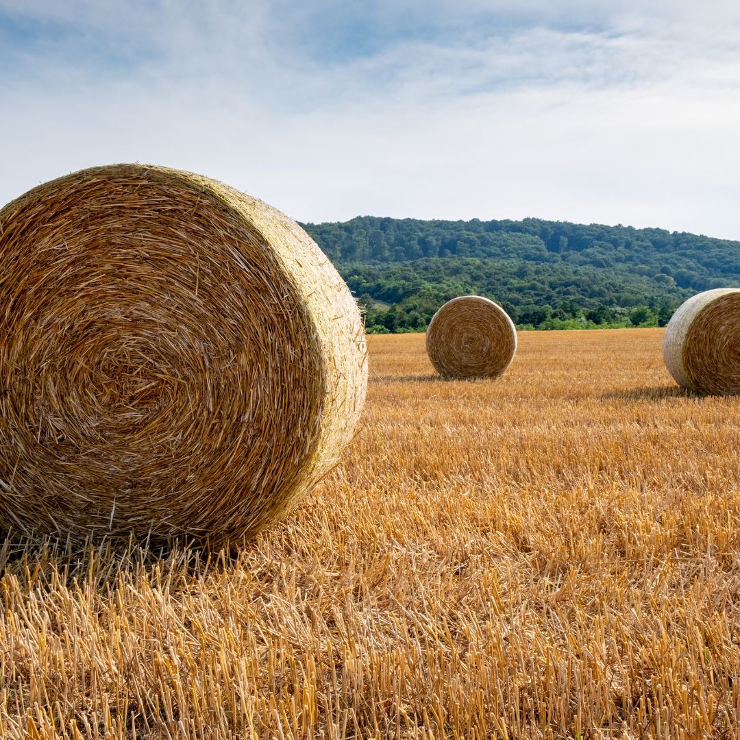 Round vs. Square Baler Belts - Learn More